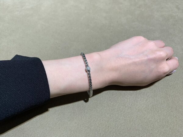 【FOPE(フォッペ)】から繊細で上品なエカタイニーをご紹介 ｜ oomiya 京都店ブログ - 正規輸入時計専門店